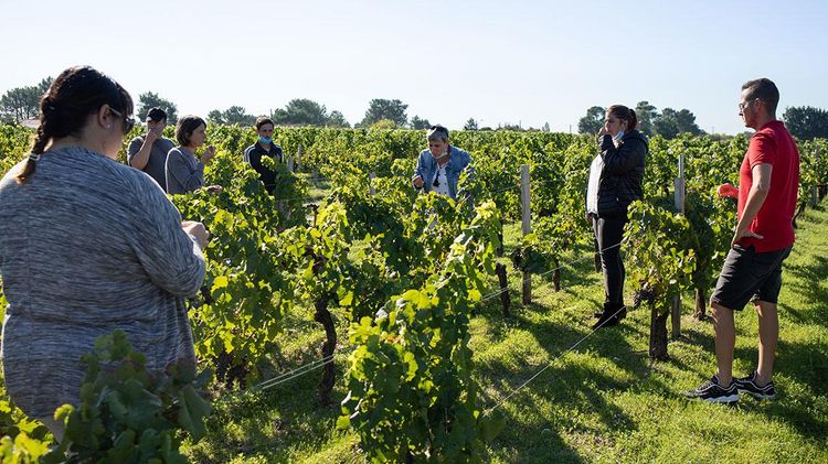 Team building in Tuscany: Top Unique Activities — 2025