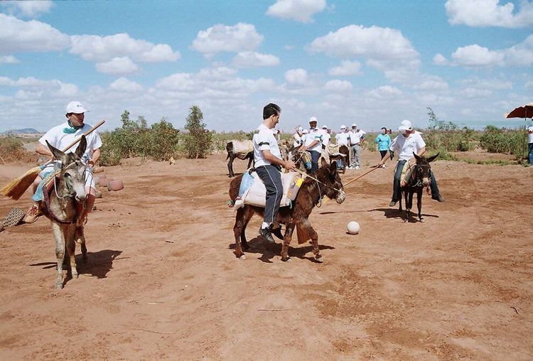 Séminaire à Marrakech - Meilleurs idées pour votre team building — 2025